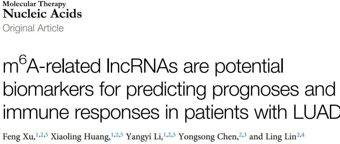 8+的基于m6A的lncRNA风险模型构建！_相关_分析_研究