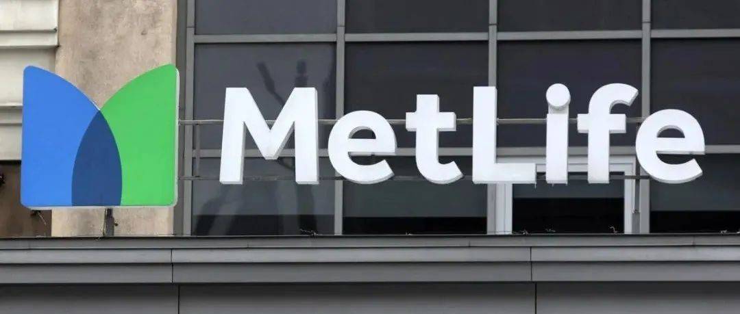 VI手册资源库：大都会人寿 MetLife 品牌VI手册_蓝色_客户_绿色