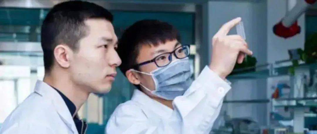 重要通知：招募200名科研人，限时培训雅思，不限年龄，有意者进！_英语_问题_屠鸭