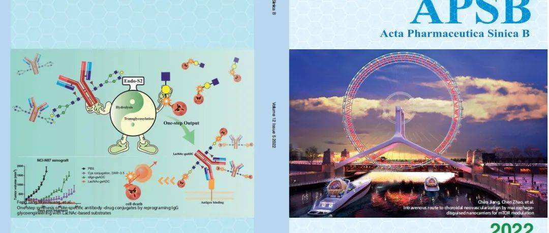 【APSB】2022年5期上线_in_cancer_Acta