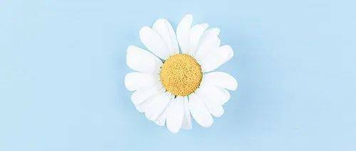 音乐书签：《一样的夏天》_jjgb_Car_稿子