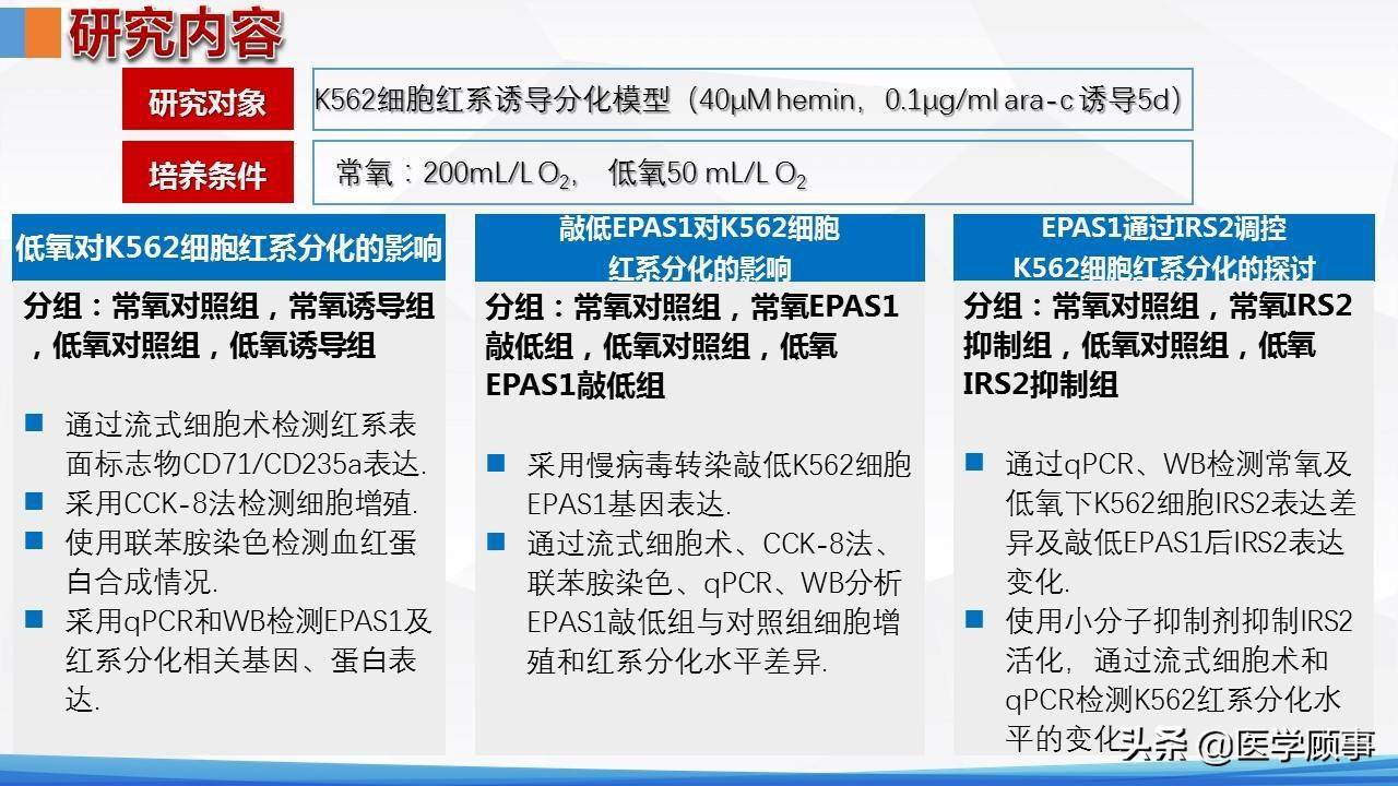 低氧条件下EPAS1调控K562细胞系红系分化的作用研究_因子_诱导_环境