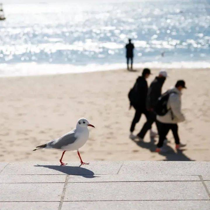 如何看待 Dapr、Layotto 这种多运行时架构？_Mesh_Service_数据