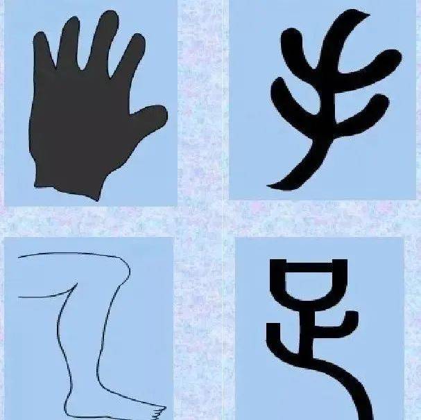 常见象形字，生动有趣！让孩子轻松爱上书法_形状_指事_形声