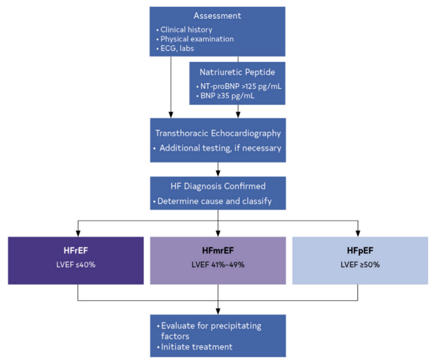 李广平教授：心力衰竭的分型和处理 | OCC 2022_诊断_利尿剂_HFmrEF
