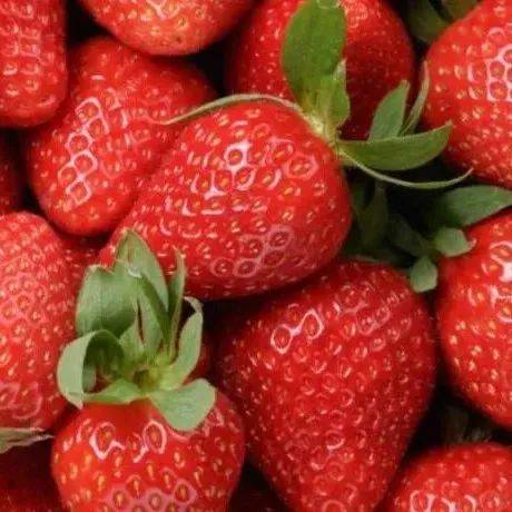 紧急召回！沃尔玛,safeway,缺德舅这款草莓或引发肝炎！16人入院_Kampo_Fresh_WinCo