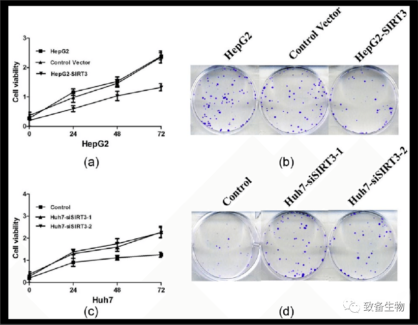 CCK-8实验最全操作步骤来啦_细胞_溶液_ul