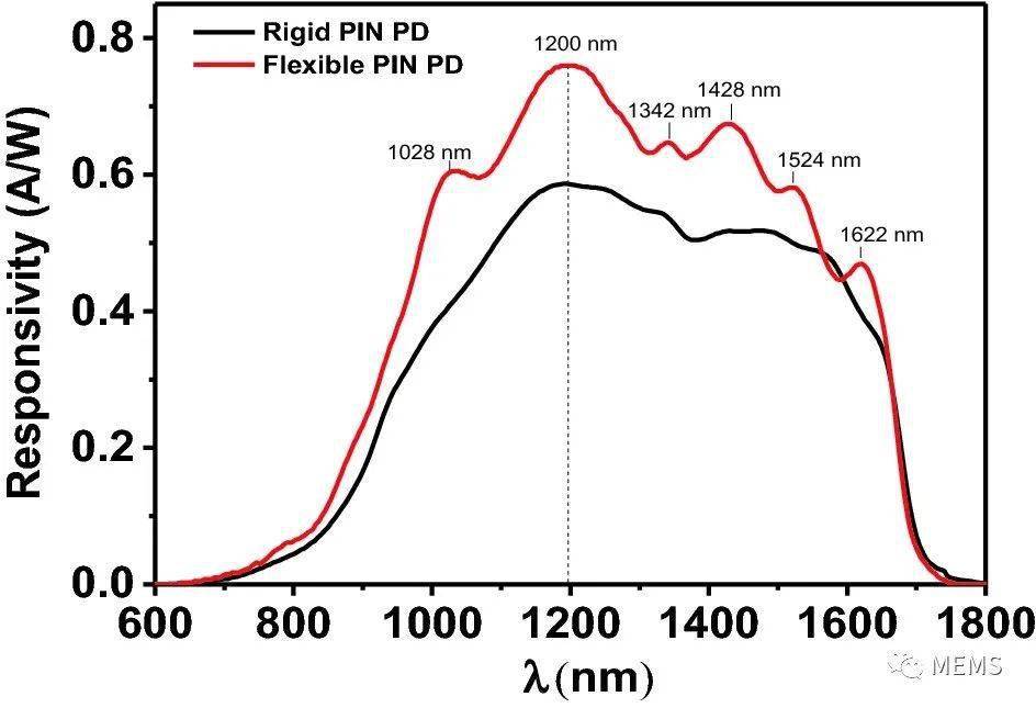 基于大面积InGaAs/InP PIN结构的高性能可见光-短波红外柔性光电探测器_制造_材料_InGaAs