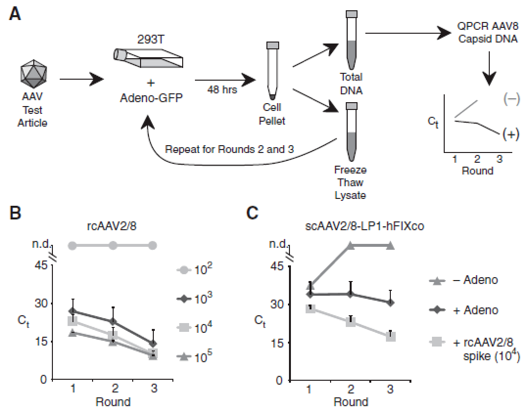 写意报告丨病毒载体的开发和风险管控_质量_产品_属性