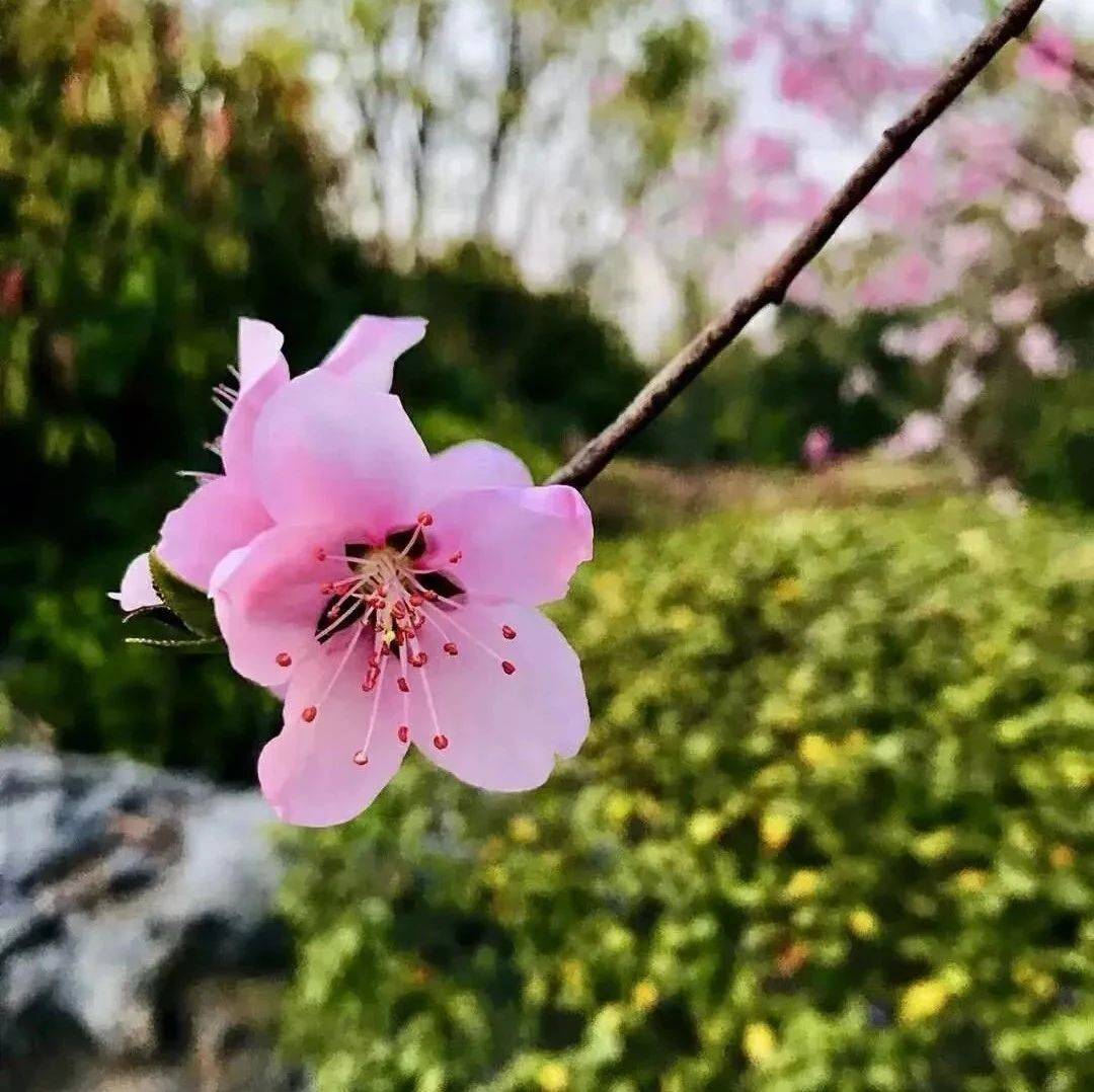短短几句，道尽人生生活步一脚印