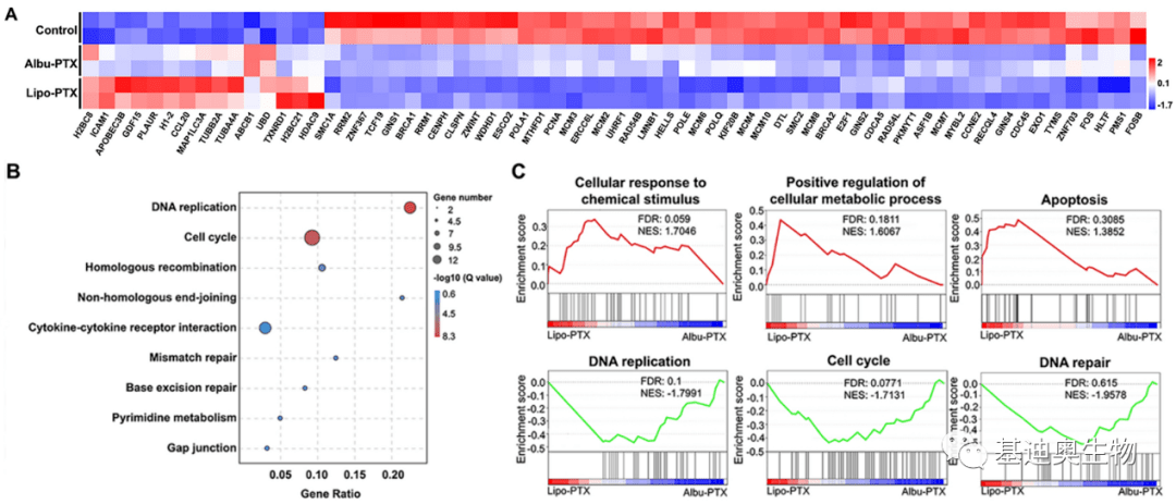 全外显子测序研究肿瘤的小样本思路_基因组_模型_特征