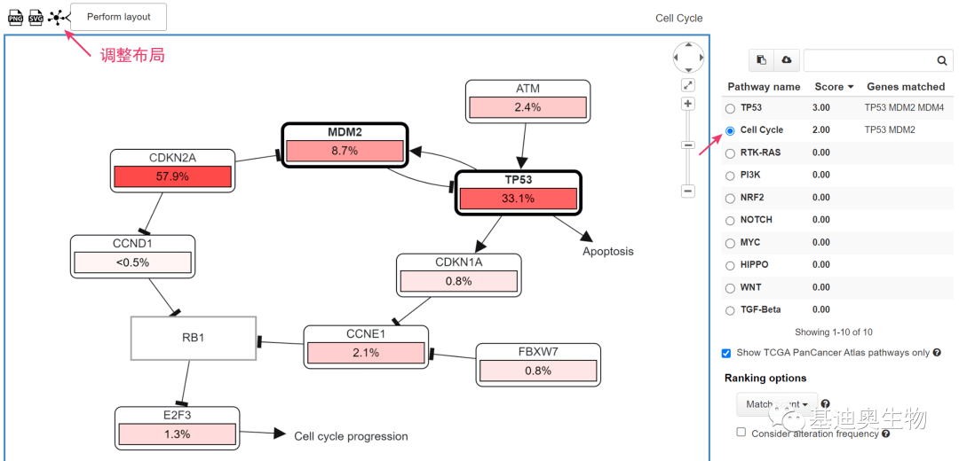 引用2万次！多维度基因组学综合探索：cBioPortal数据库使用指南_癌症_模块_Brain