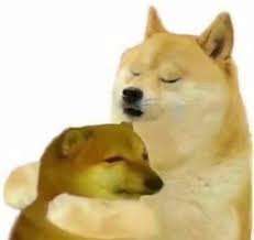 这只狗，是我的互联网替身_Cheems_Doge_年轻人