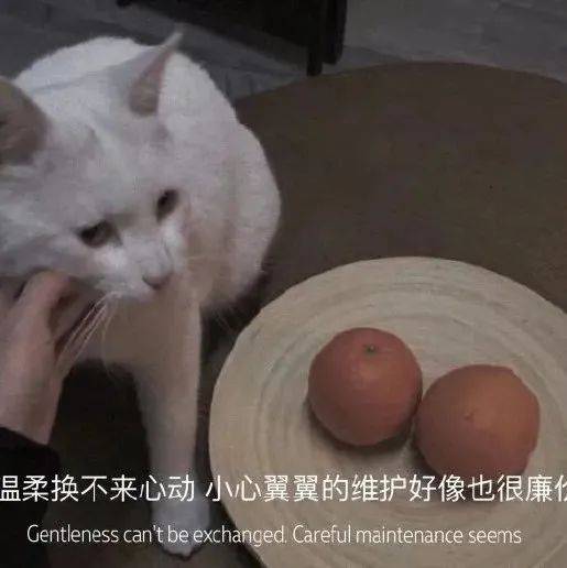极致温柔的朋友圈文案句子爱意太阳