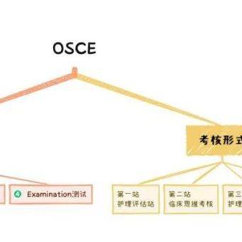 以考促学强基固本——眼科二病区开展OSCE考核，助力实习护生成长之路_护理_临床_考生