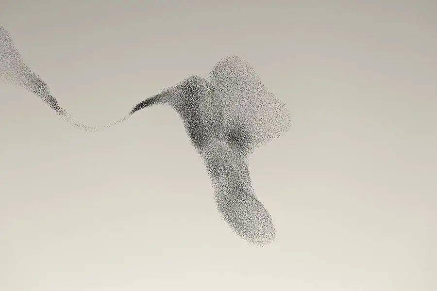 极简摄影|2022极简主义摄影大赛获奖作品_Daniel_一等奖_Ren