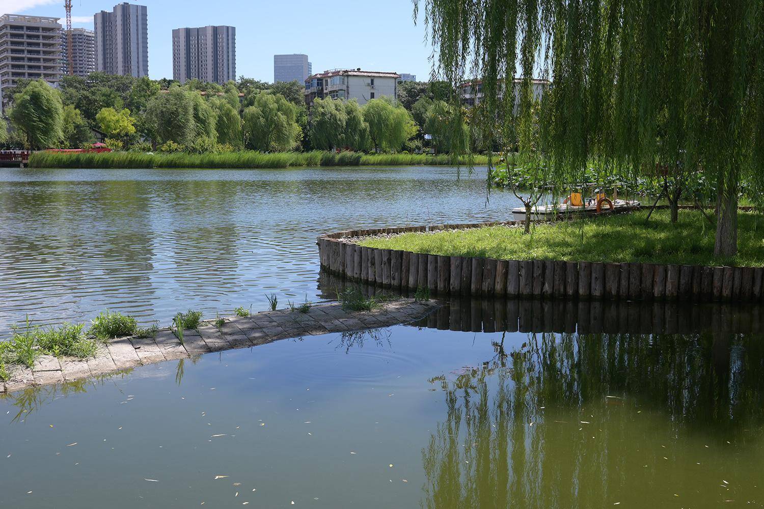 半幅微单和全幅微单，拍人像差距大吗？通过尼康Z30、Z5来看看_镜头_效果_尼克尔