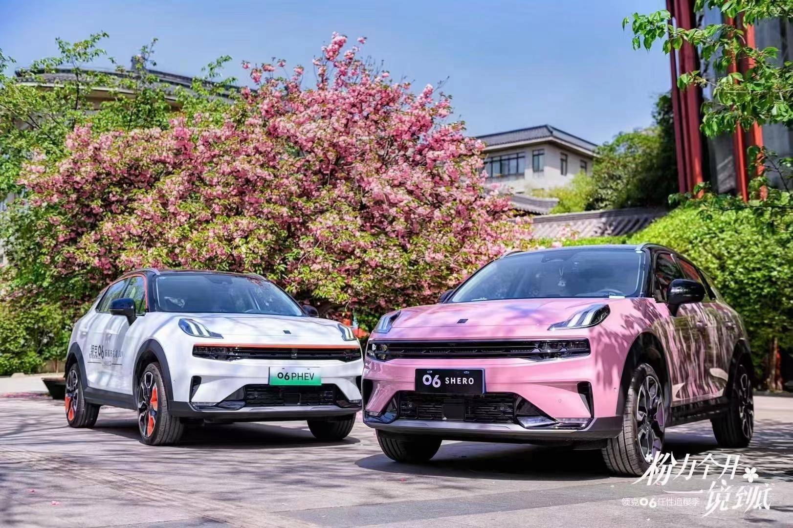 男生选车VS女生选车，看看对吗_搜狐汽车_搜狐网