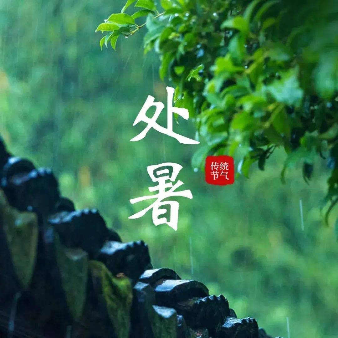 处暑至,暑气止贵州省人们禾乃登