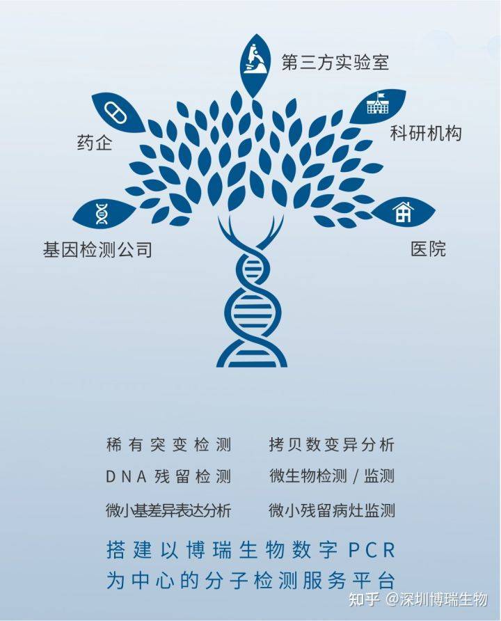 博瑞生物 I 全芯驱动 · 精准医疗_Biorain_数字_检测