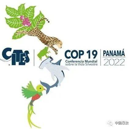 绿会国际部召开CITES CoP19参会筹备工作会议 | 全球环境治理讯_濒危_动植物种_中国