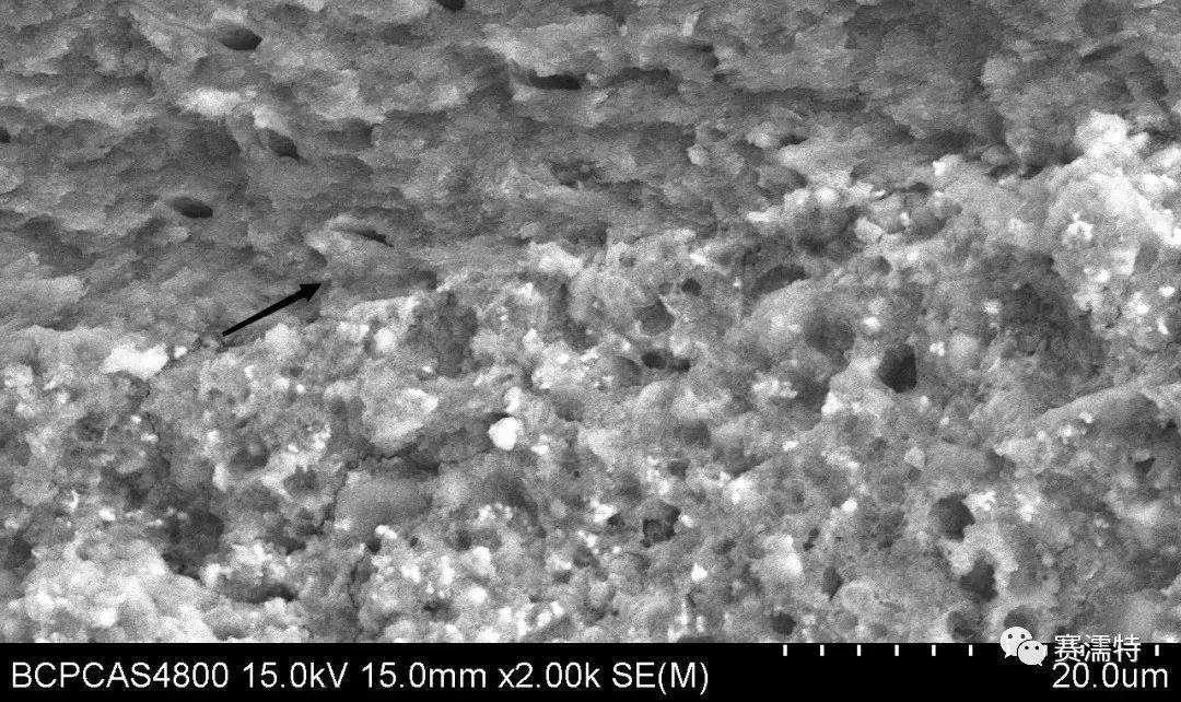 中国锶·C-Root SP：让根管充填如此简单！_口腔_效果_硅酸盐