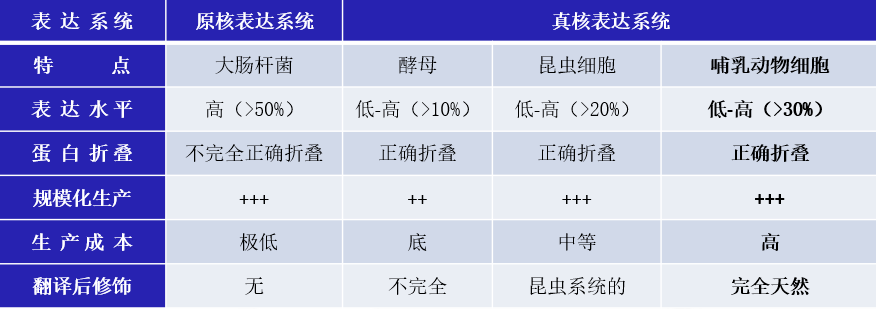 干细胞培养关键因子——bFGF_研究_碱性_功能