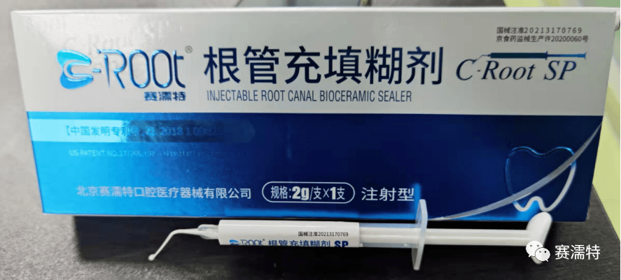 中国锶·C-Root SP：让根管充填如此简单！_口腔_效果_硅酸盐