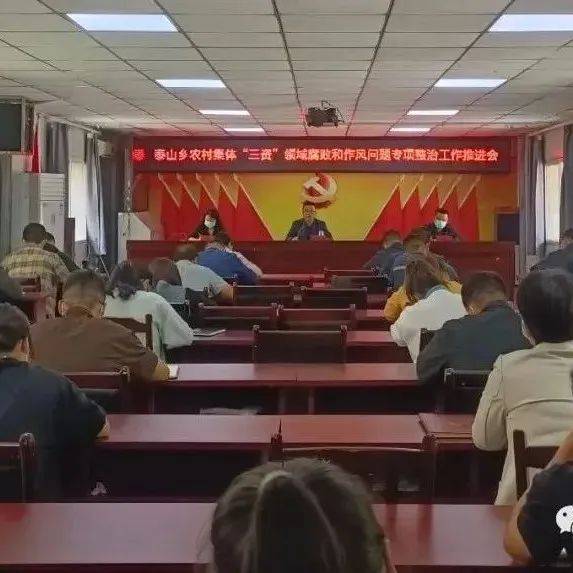 【泰山动态】泰山乡召开农村集体“三资”领域腐败和作风问题专项治理工作推进会管理农村集体