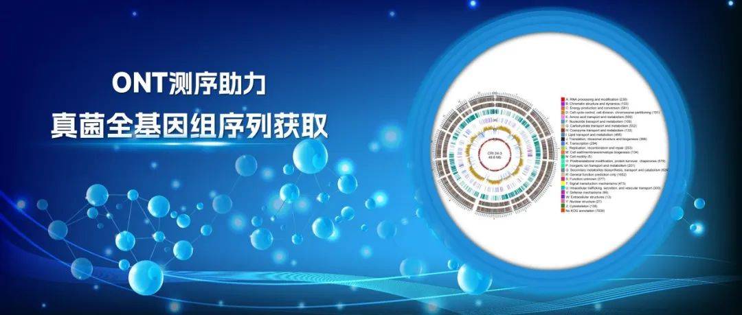 成功案例|首次公布F. solani-melongenae分离株 CRI 24-3 的高质量全基因组序列_甘薯_镰刀_菌落