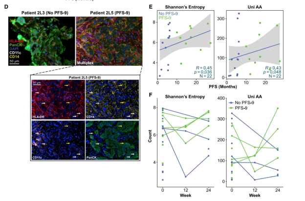 文献解析 | 个性化新抗原疫苗NEO-PV-01联合化疗和PD-1抗体治疗非鳞状NSCLC_患者_细胞_恶性肿瘤