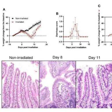 Front Oncol：一种传统中药或能减轻癌症疗法所产生的副作用_研究_in_放疗