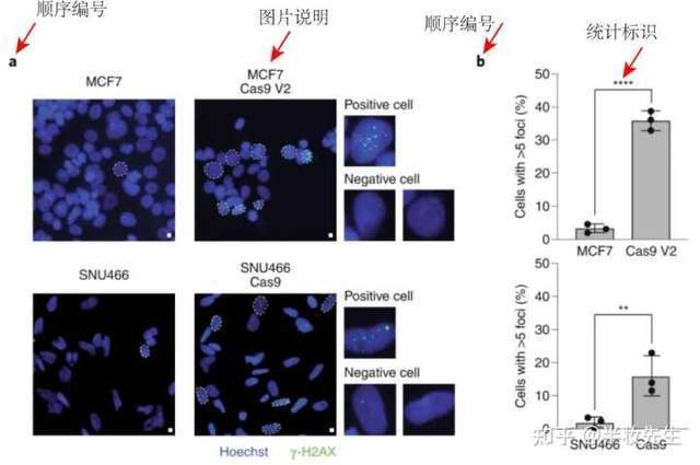 常见的SCI论文画图的要求_Figure_图片_格式