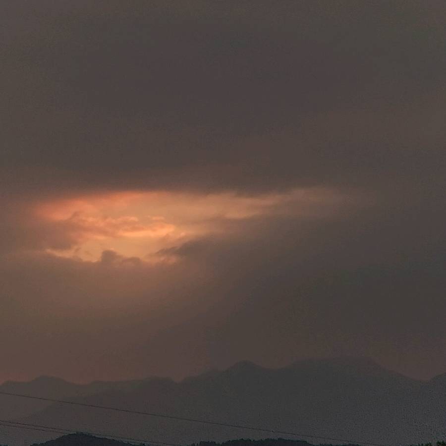 “新⽣代先锋模特”赵铭洋Elena Zhao演绎WANG FENG COUTURE 2025秋冬系列_婚纱_束缚_王锋