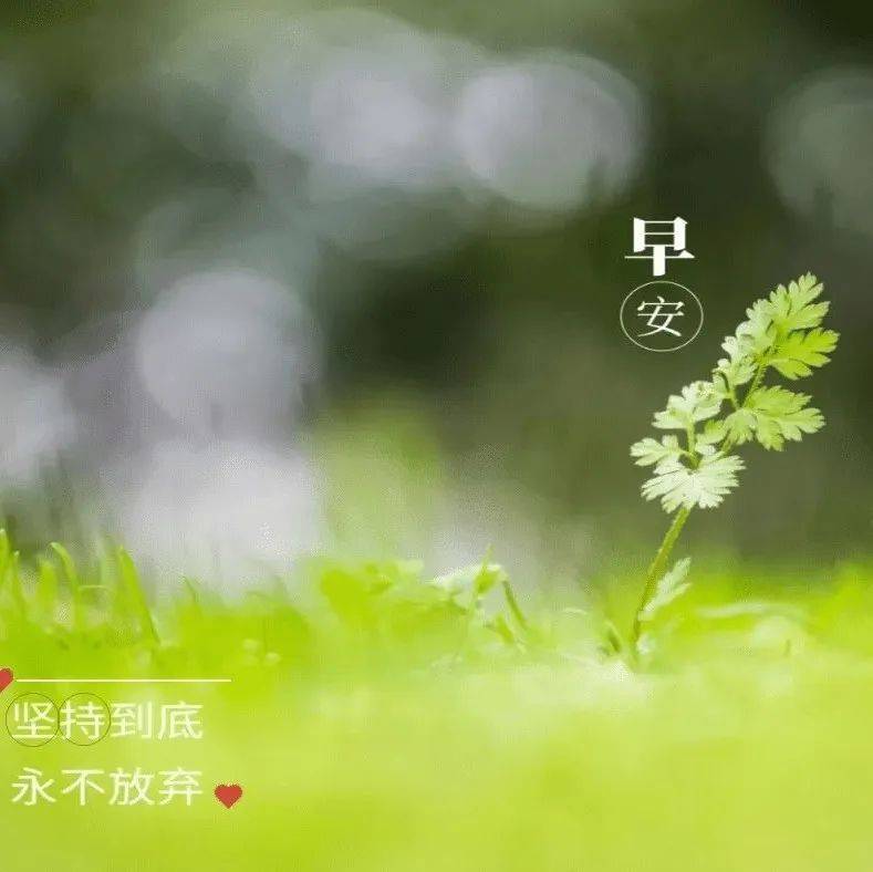 每日心语：过好自己的生活，就是王道！最好的美文白开水