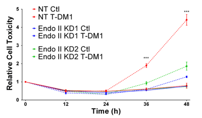 10个HER2-ADC耐药机制_治疗_细胞质_研究