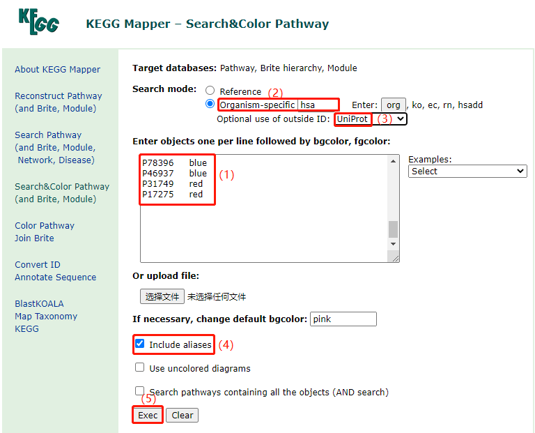 太猛了！不到五分钟，竟做出导师都满意的KEGG通路图......_按钮_基因_数据库