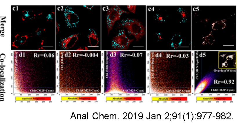 重磅干货！老司机带你解锁荧光共定位分析......_图像_ImageJ_ScatterJ