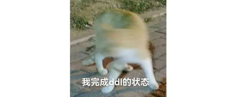 醒了吗，ddl要到了_作业_同学_大学