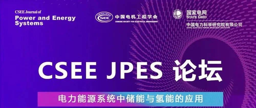 大咖荟萃 精彩纷呈 | CSEE JPES论坛力邀5位国际专家齐聚一堂，畅谈能源电力未来发展！_储能_系统_报告