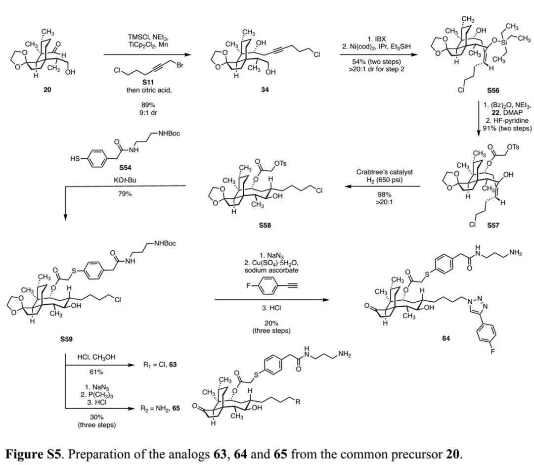 Science后再发Nat. Chem.：17个结构多样性pleuromutilin类抗生素的全合成_Fig_反应_研究