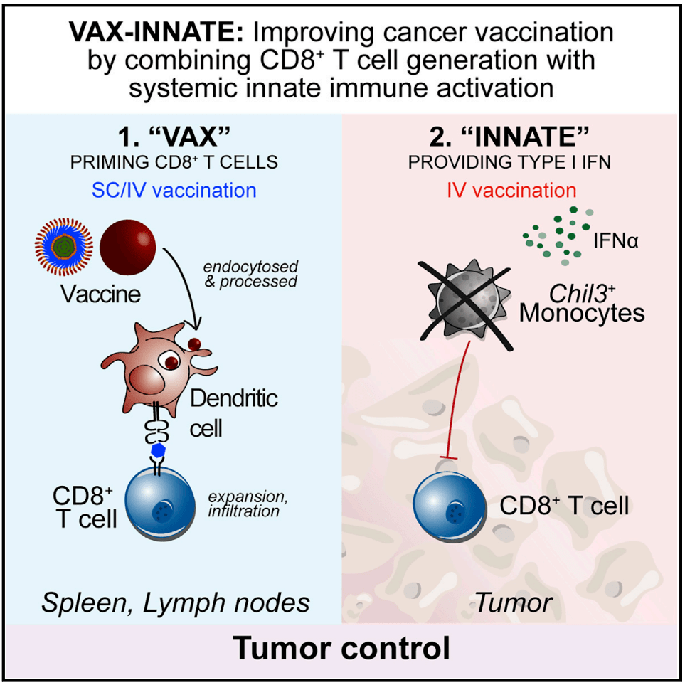 Cell | 癌症患者福音：抗癌疫苗双重作用_肿瘤_细胞_Waldman