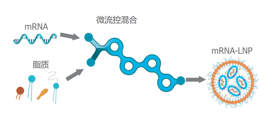 为临床转化开发可放大生产的RNA-LNP药品_工艺_混合_药物