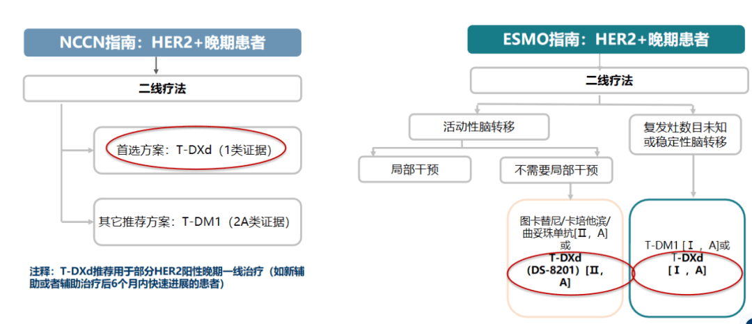 共君一席话丨2022 ESMO·吾谁与共：谁是乳腺癌系统治疗的“Game Changer”_患者_研究_阳性