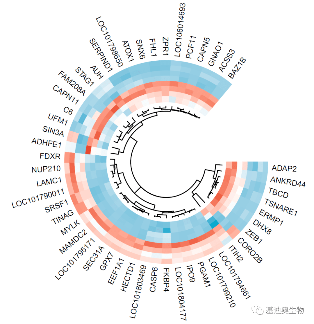 继续卷！给你的环形热图指定基因标签！_mycol