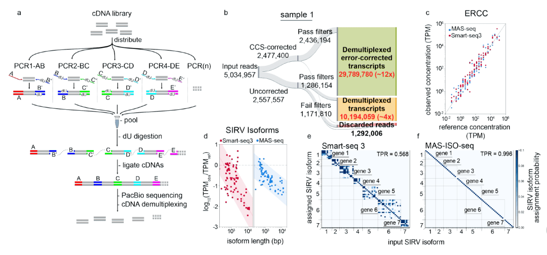 利用全长转录组多重阵列测序检测同源异构体_MAS-ISO-seq_细胞_方法