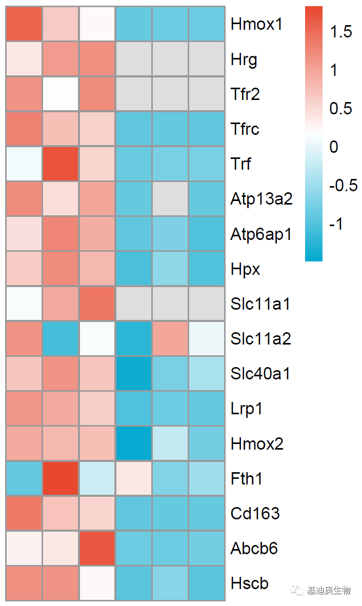 炫一个热图+差异气泡（log2FC+Pvalue）组合图表！_dt