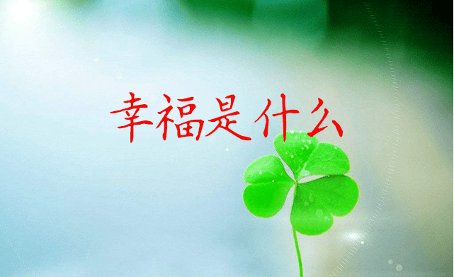 幸福是什么是一种感觉公众