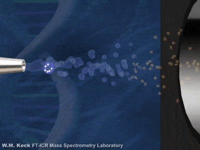 【合成必备知识】LCMS基础_离子_分析_色谱