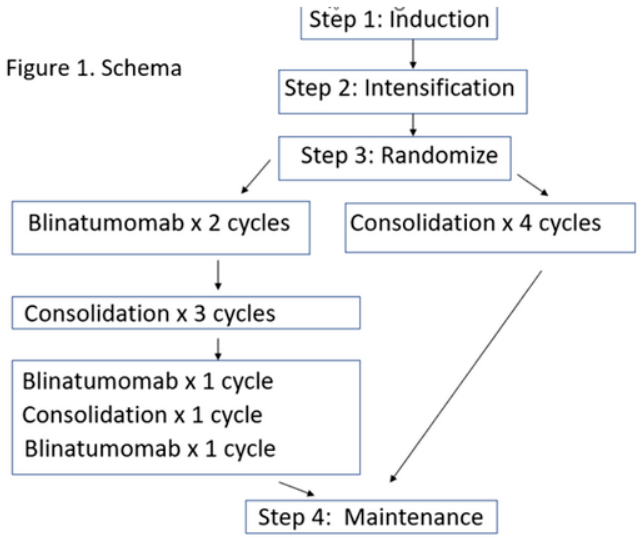 ASH热评丨范磊教授：贝林妥欧单抗有望进一步提升MRD阴性B-ALL患者诱导治疗后的总体生存_化疗_研究_细胞